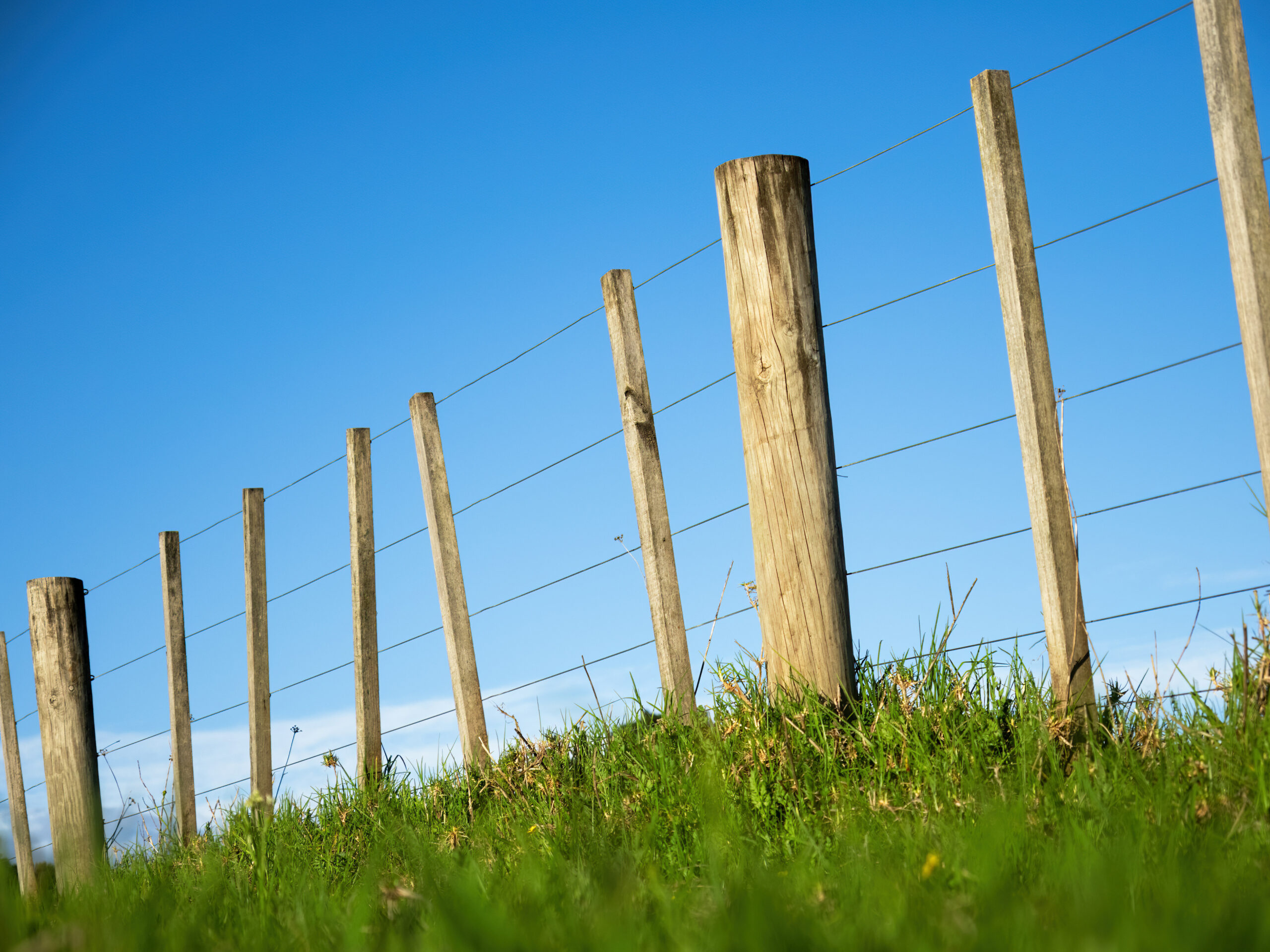 Choosing the Best Fencing for Your Homestead (Video) - Grit
